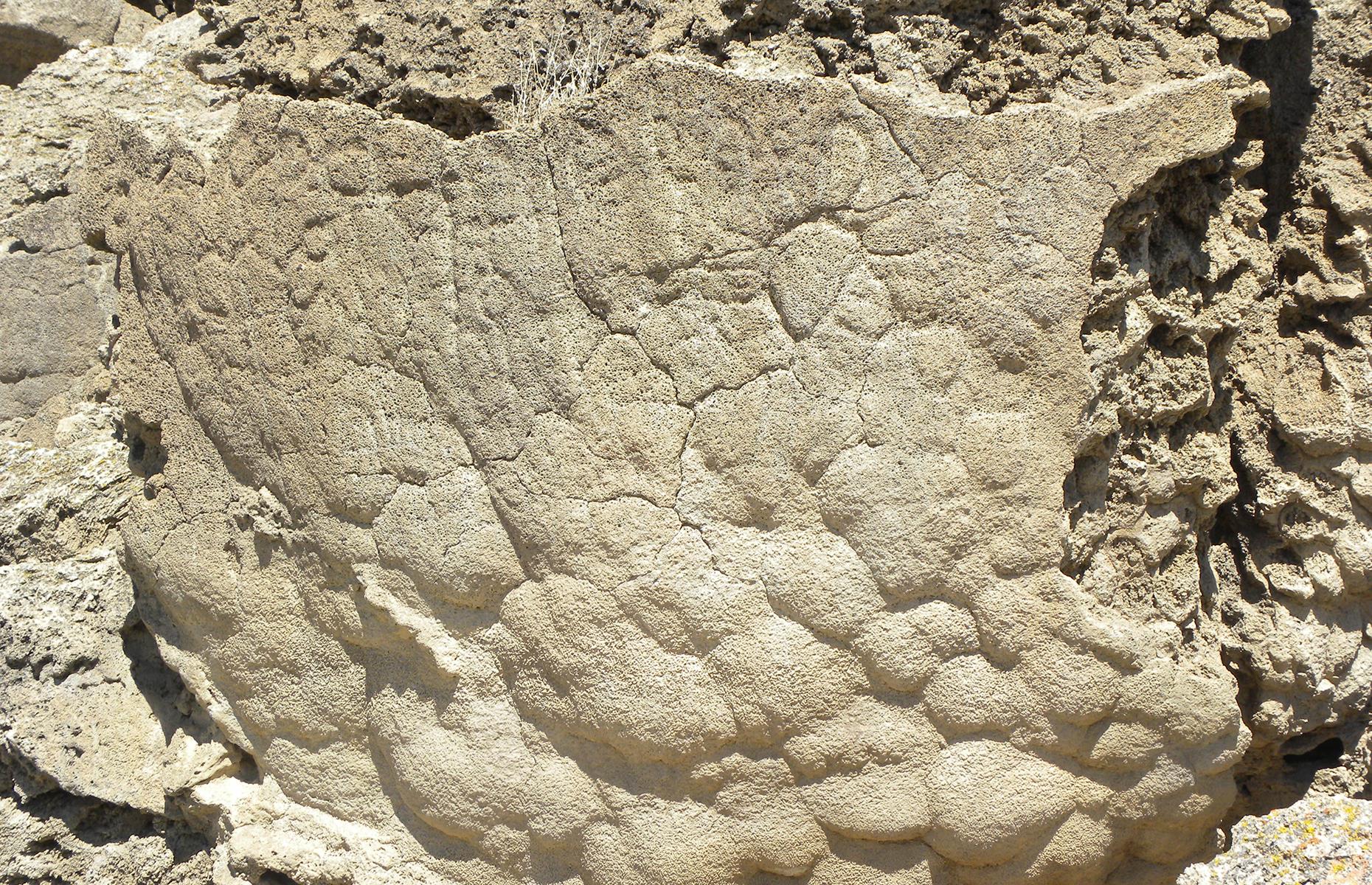 Remarkable archaeological secrets unearthed across the United States