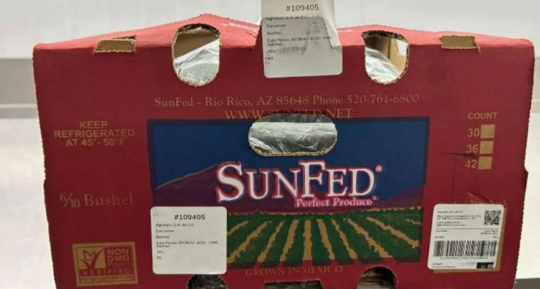 Thousands of cucumbers, eggs recalled over salmonella concerns Thousands of cucumbers, eggs recalled over salmonella concerns