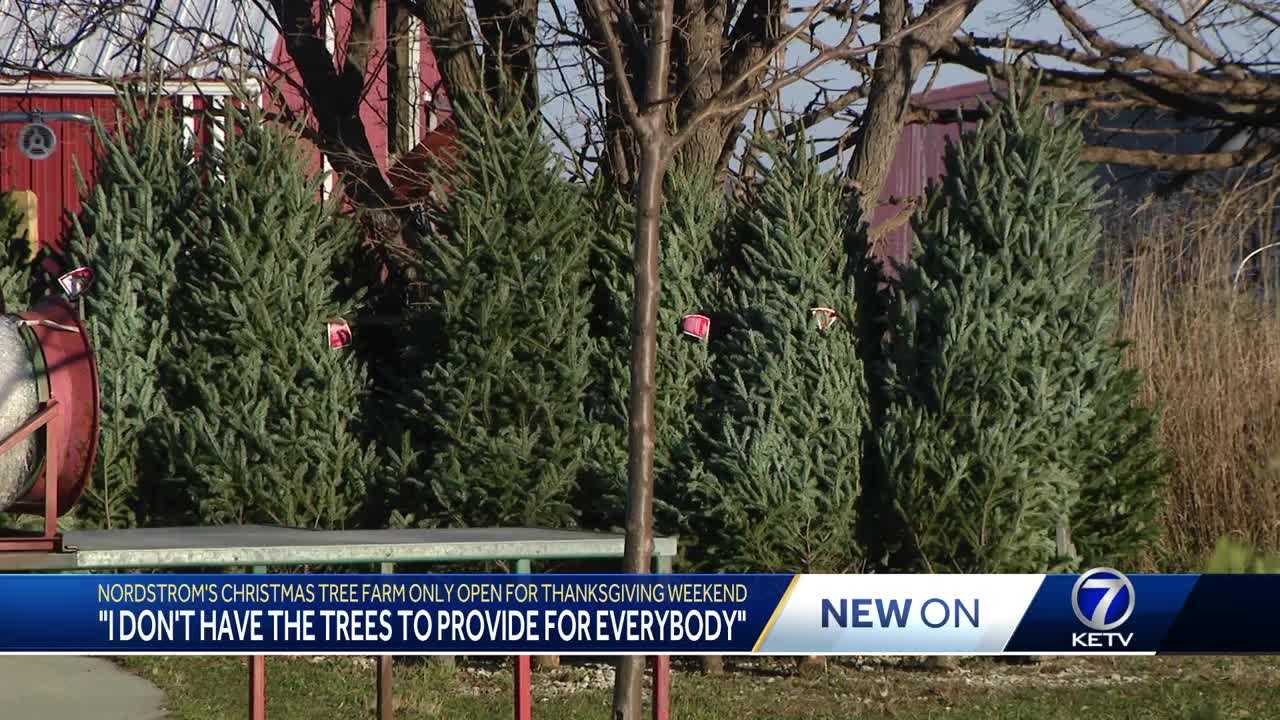 Where can you get your real Christmas tree in Omaha area this holiday ...