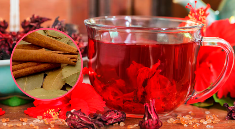 ¿Qué beneficios tiene el agua de jamaica con canela y laurel, según la ... ¿Qué beneficios tiene el agua de jamaica con canela y laurel, según la ...