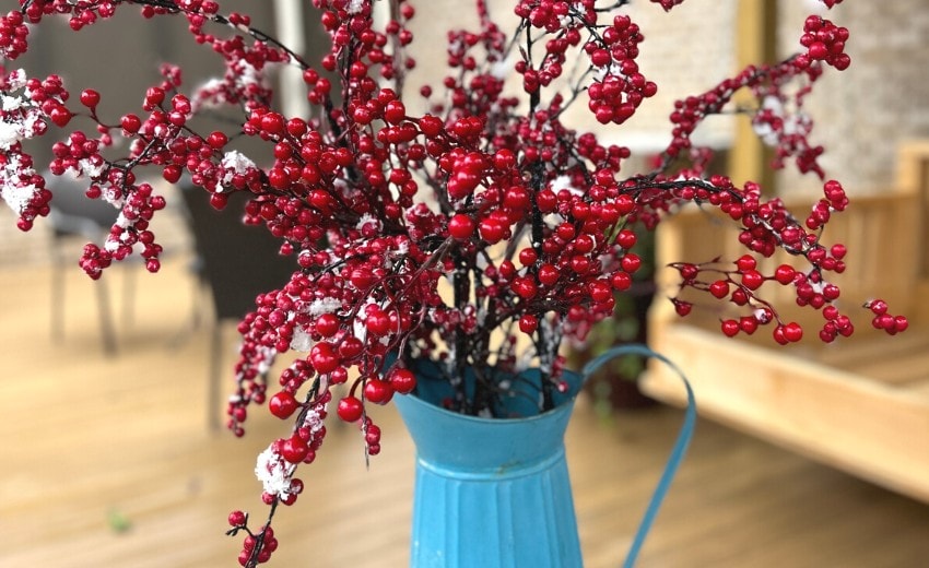 Red Berry Sprays in a Blue Watering Can