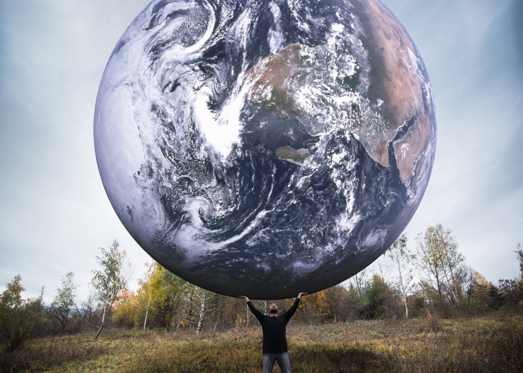 This animal would rule the Earth if humans didn't exist