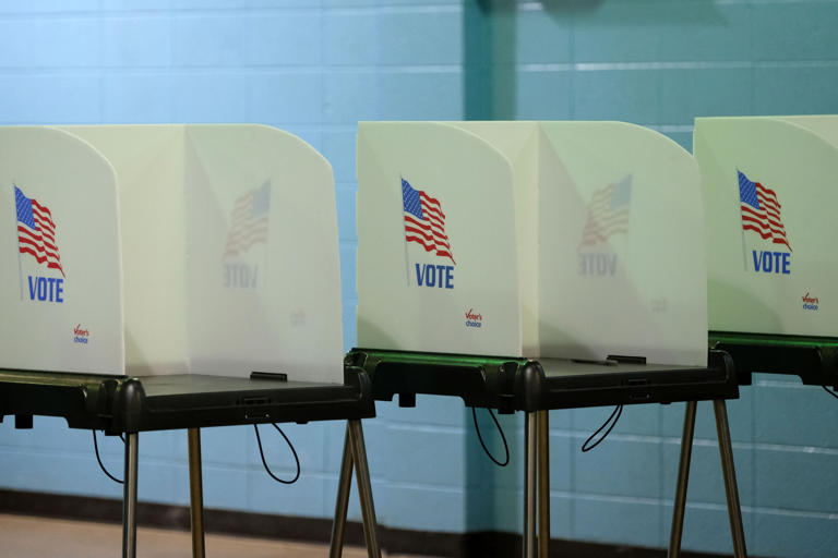 The Lost Voters: Why Millions of Democratic Voters Who Stayed Home ...