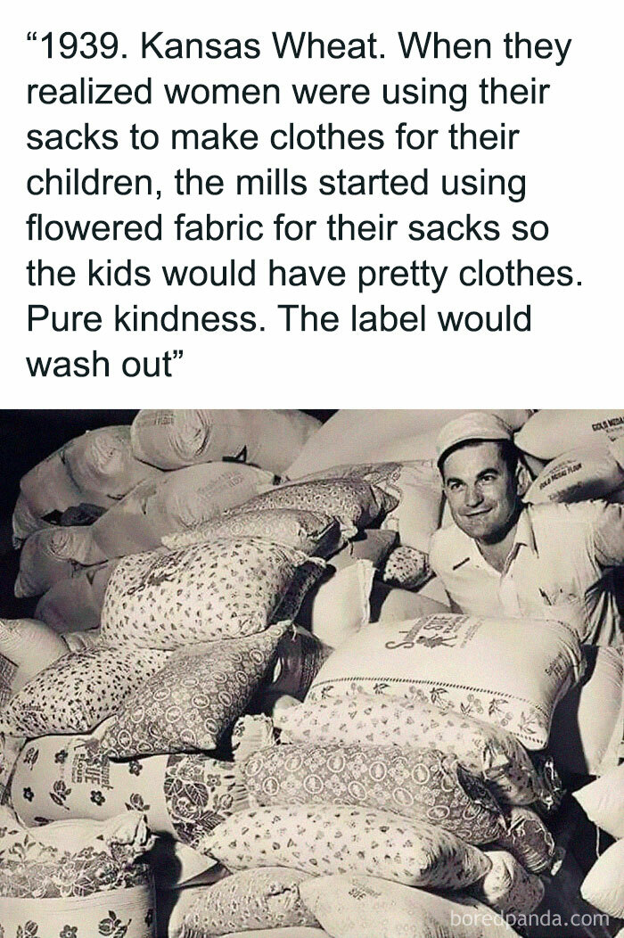 32 Of The Best History Memes For Anyone Wanting To Learn More About Our ...