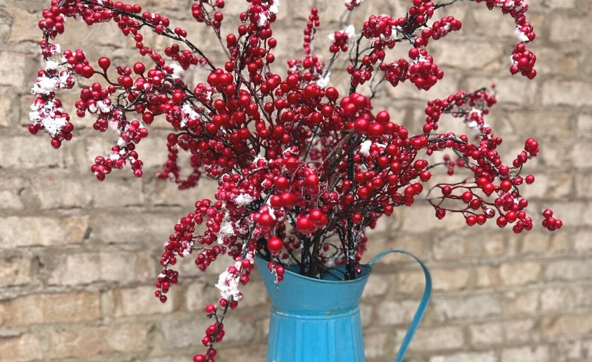 Red Berry Sprays in a Blue Watering Can