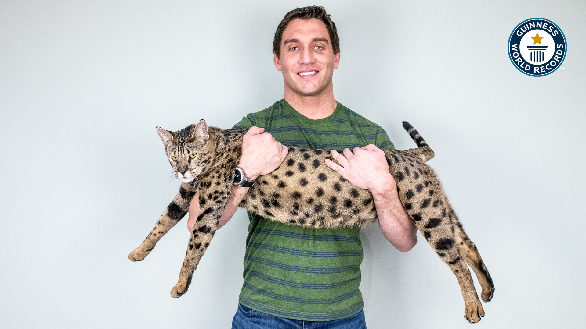 Will Powers, Life with record-breaking cats