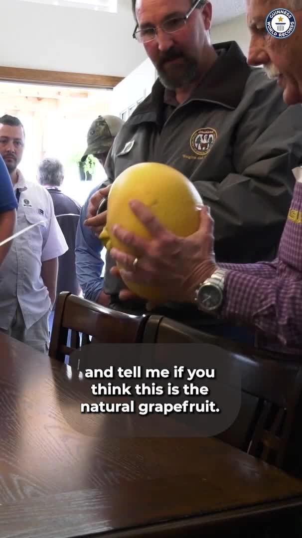 World record grapefruit and the magic of a fairy garden