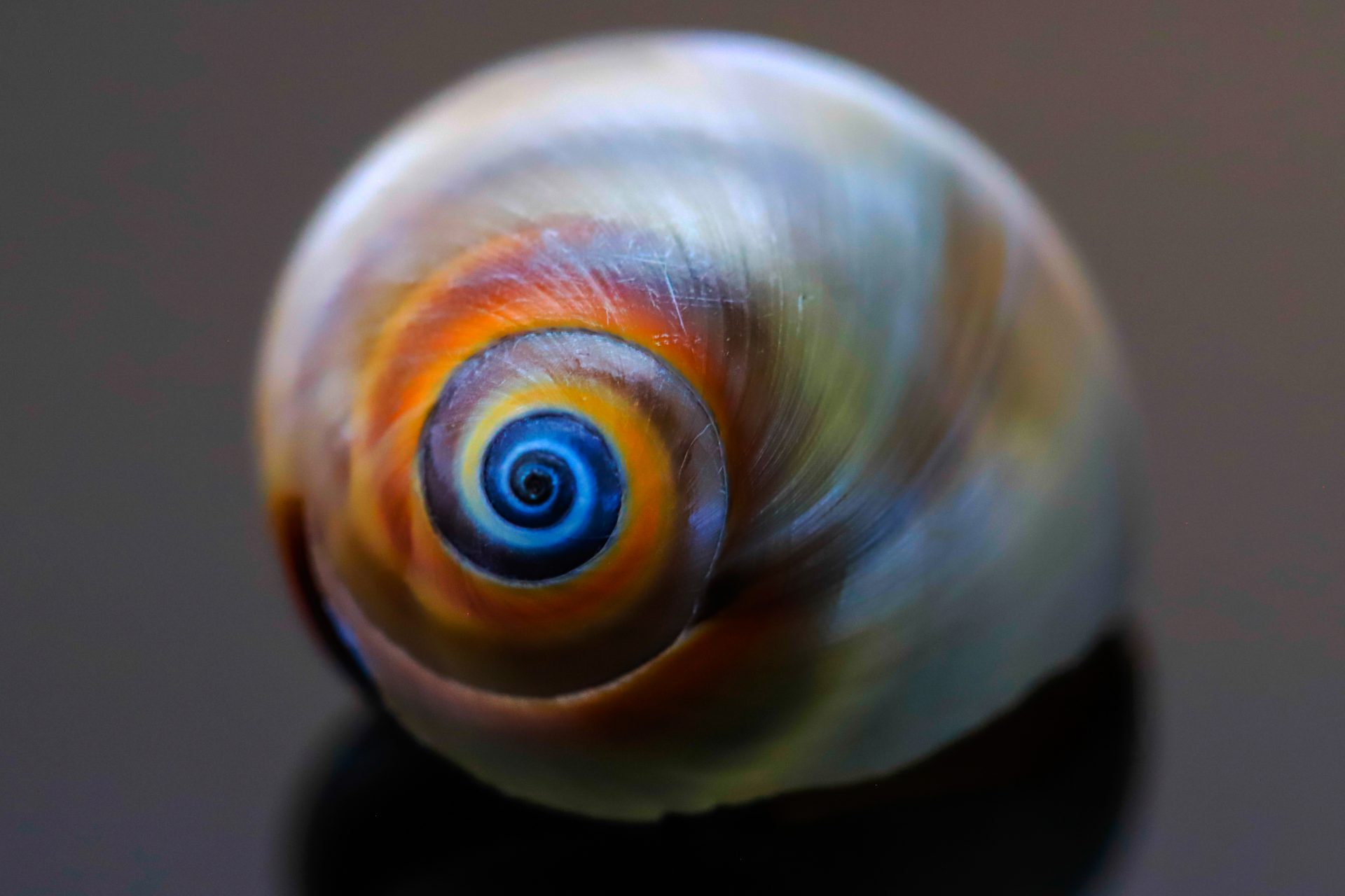 Mathematicians find an explanation for nature's perfect shapes