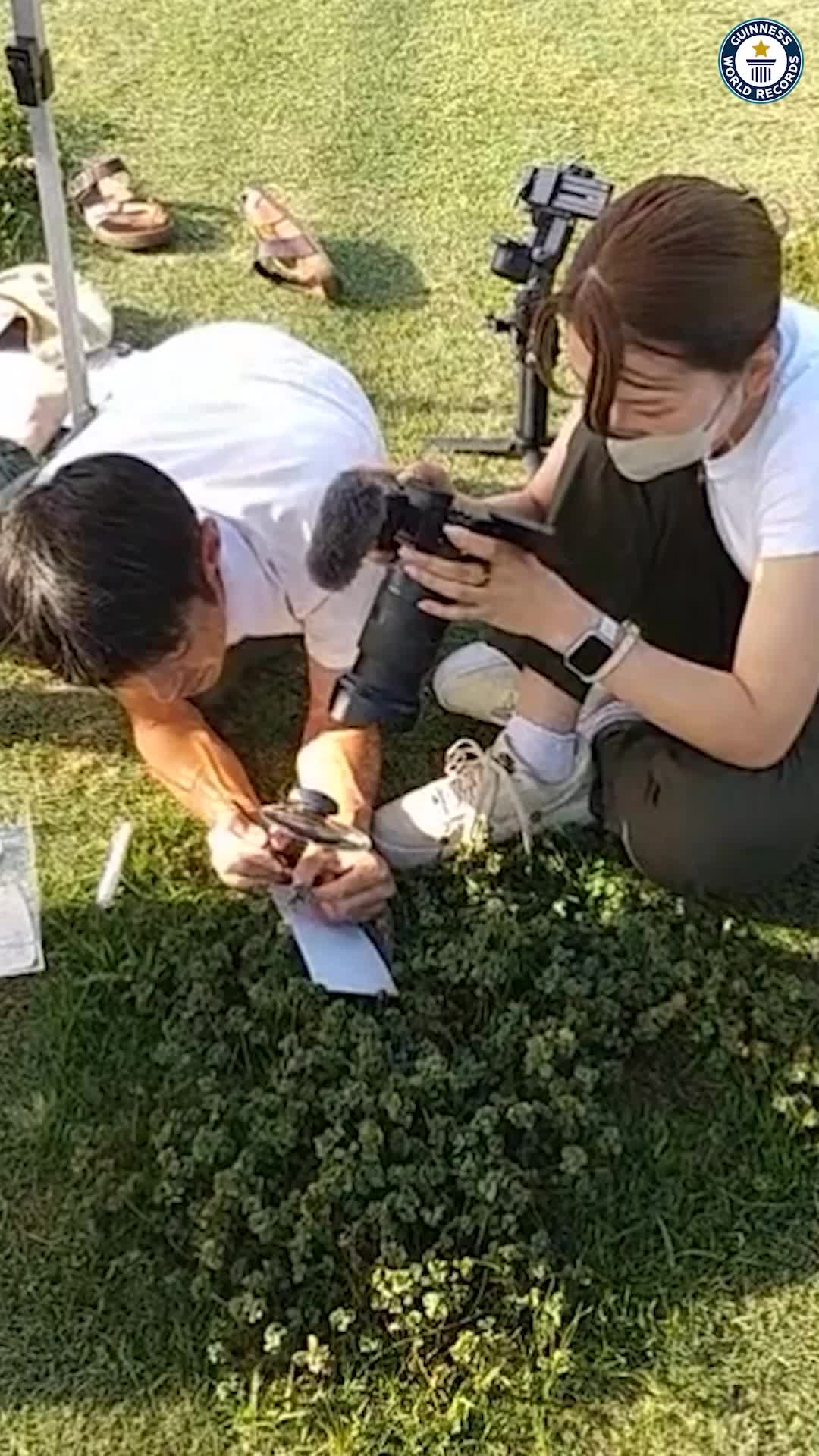 Record-breaking Clover with 63 Leaves