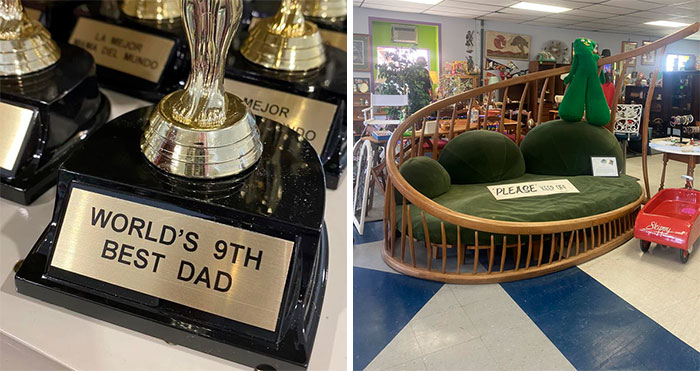 People Are Sharing The Weirdest And Coolest Things They’ve Scored While ...