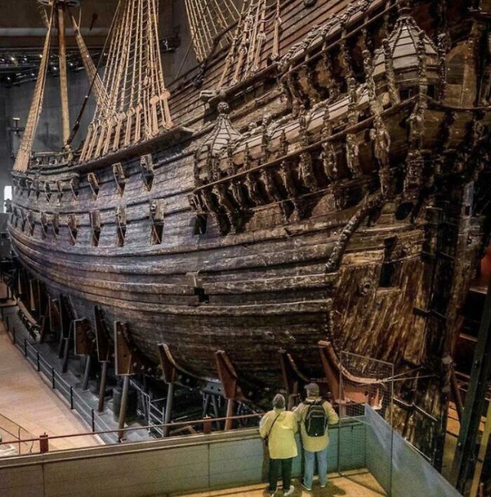 26 Things So Big They Might Creep You Out