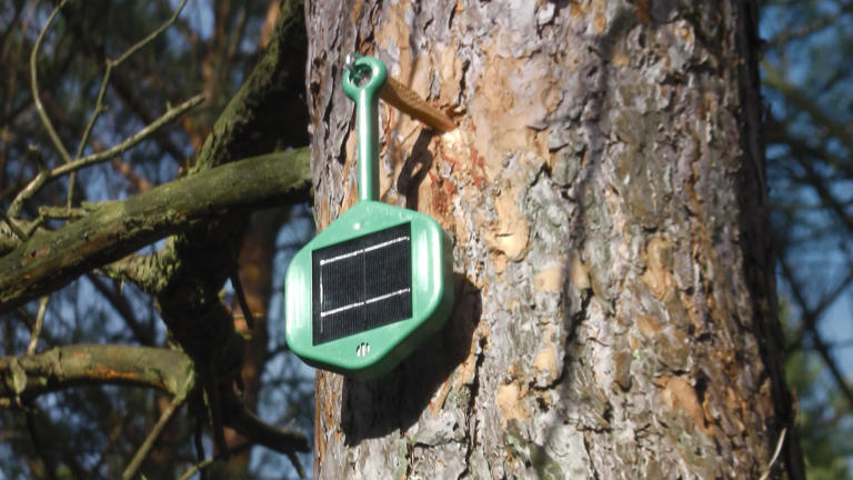 “Nature is beyond the stage where it can help itself” – this tech ...