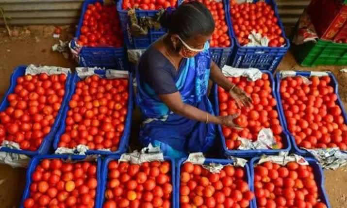 Vegetable prices on the rise: Tomato and onion cost more in Chennai's Koyambedu Market