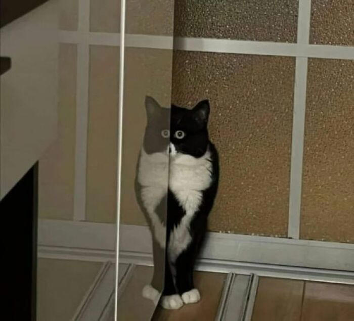 43 Puzzling Optical Illusion Photos That Will Make You Do A Triple-Take