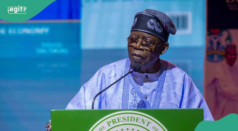 Tinubu's govt to begin review of salaries of public office holders, explains why