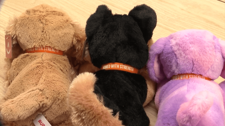 Central Ohio non-profit delivering stuffed animals to hurricane victims