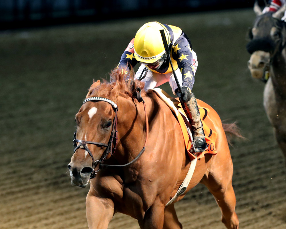 Scotland Wins Inaugural Cherokee Mile To Bring Curtain Down On ...