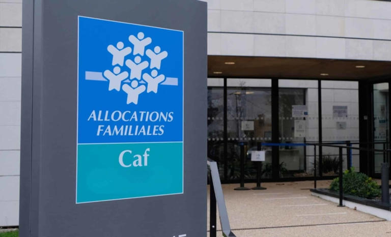 AAH : les plafonds de ressources pour toucher la prime d’activité AAH : les plafonds de ressources pour toucher la prime d’activité