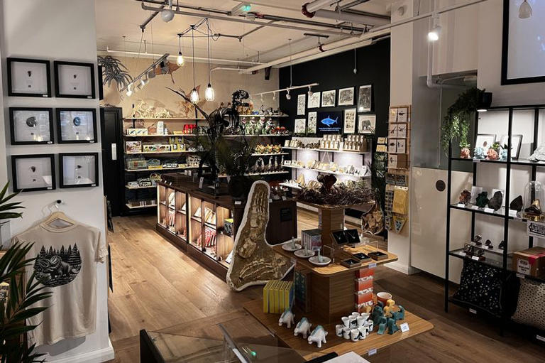 Cardiff’s got a new dinosaur store selling fossils and loads more just in time for Christmas