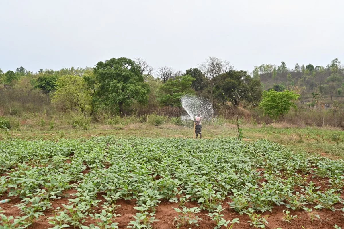 NMNF targets to train 18.75 lakh farmers in natural farming