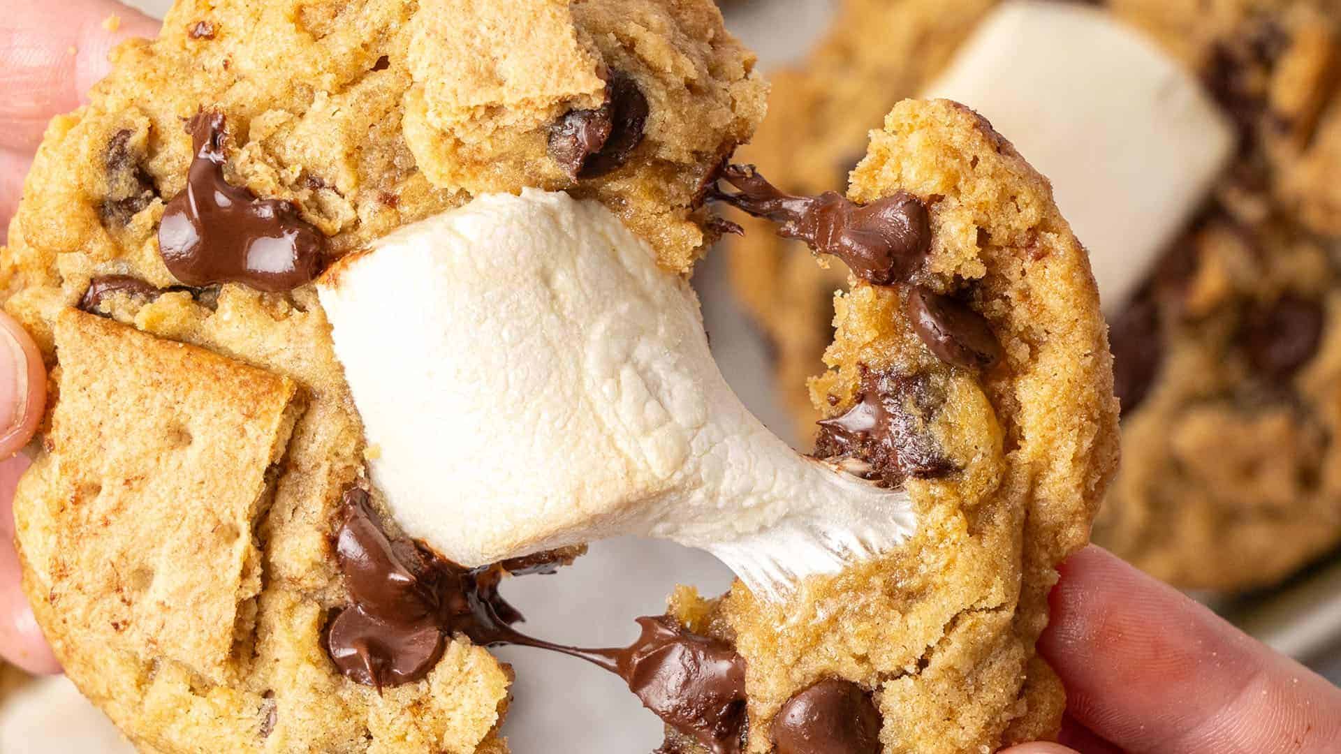 22 Homemade Cookies You'll Want to Bake Year-Round