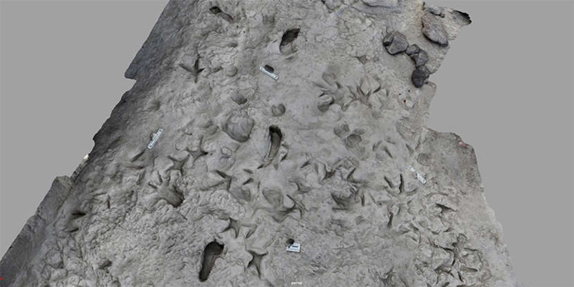 Ancient Footprints Uncover Secrets of Human Evolution Ancient Footprints Uncover Secrets of Human Evolution