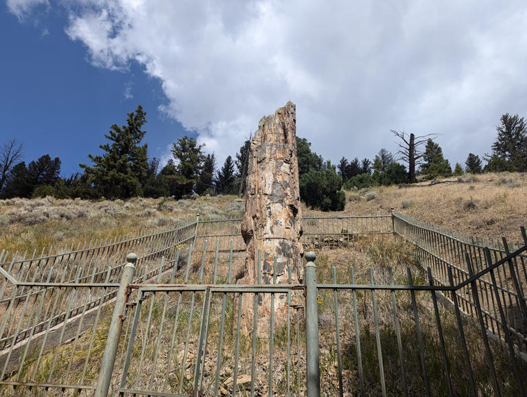 Perfect 7 Day Yellowstone & Grand Teton Itinerary
