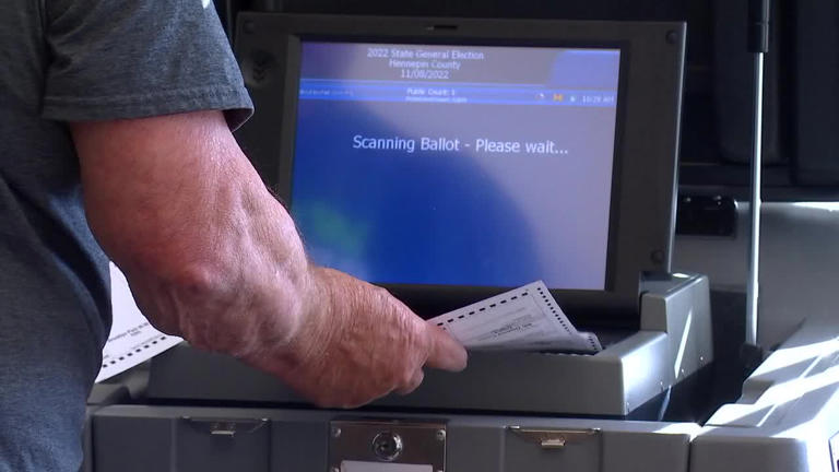 Minnesota Senate District 29 special primary election Tuesday