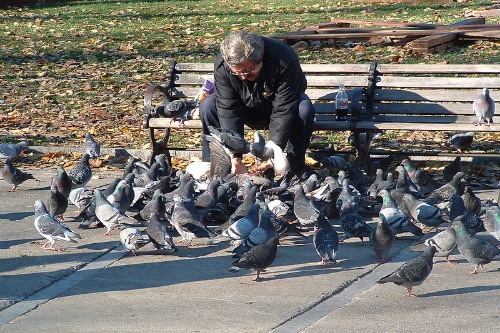 12 Outdated Laws in the US That Will Still Exist in 2025