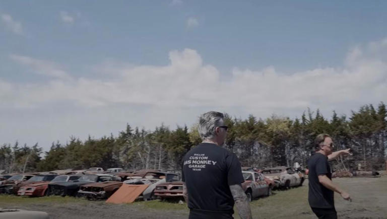 Unveiling the Enigmatic Classic Car Nest