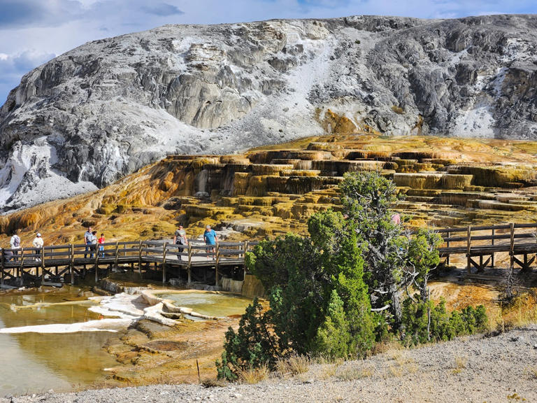 35 Best Things to Do in Yellowstone National Park