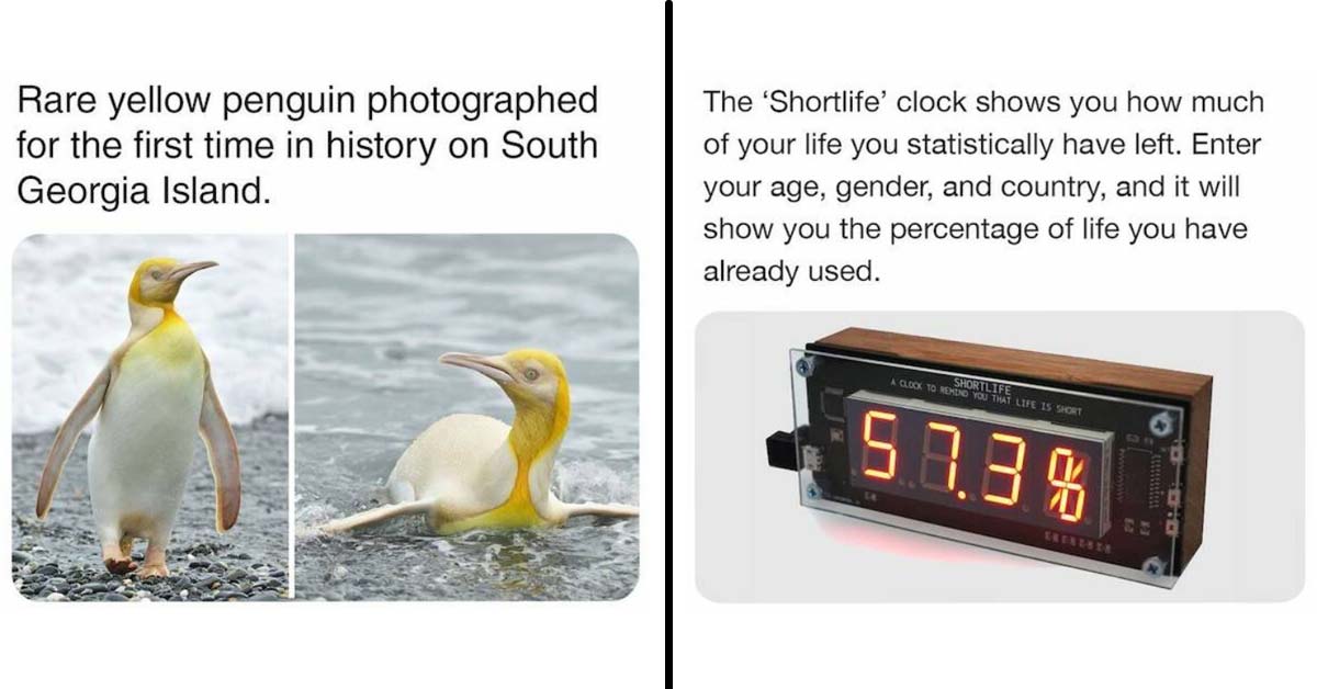 28 Odd & Interesting Things That Exist In Our World