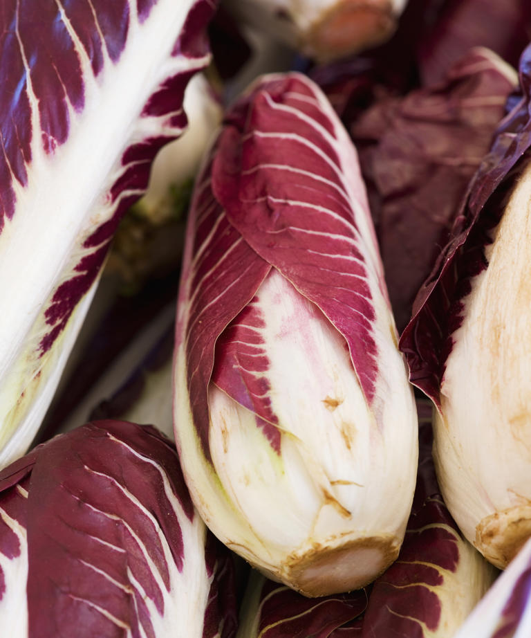 How to grow chicory for tangy leafy greens to spice up cold season dishes