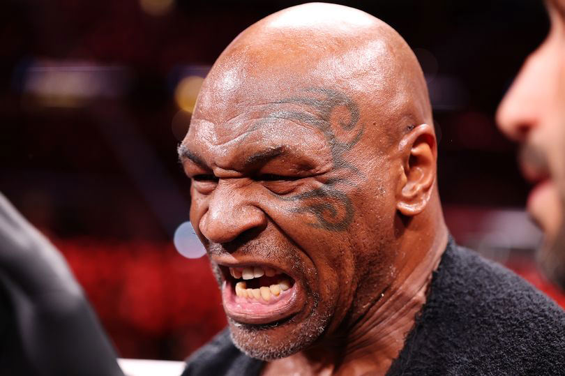 Mike Tyson makes honest admission about Jake Paul fight β 'I didn't ... Mike Tyson makes honest admission about Jake Paul fight β 'I didn't ...