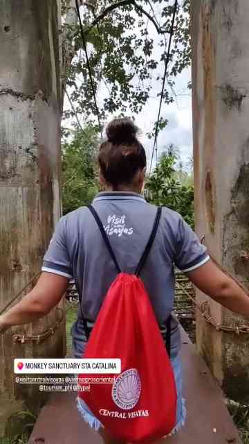 Surrounded by wild monkeys in Negros Oriental