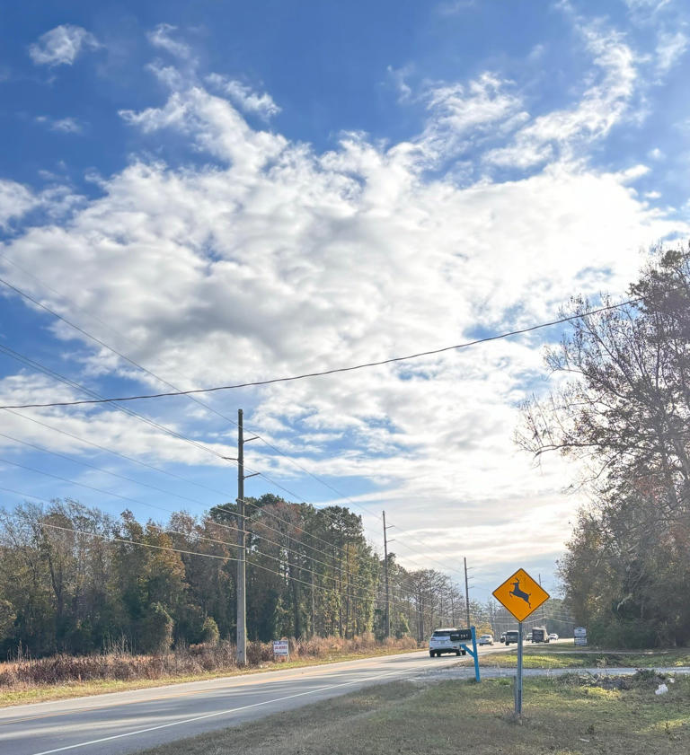 'Super dangerous': Brunswick's pitch-black highways have residents ...