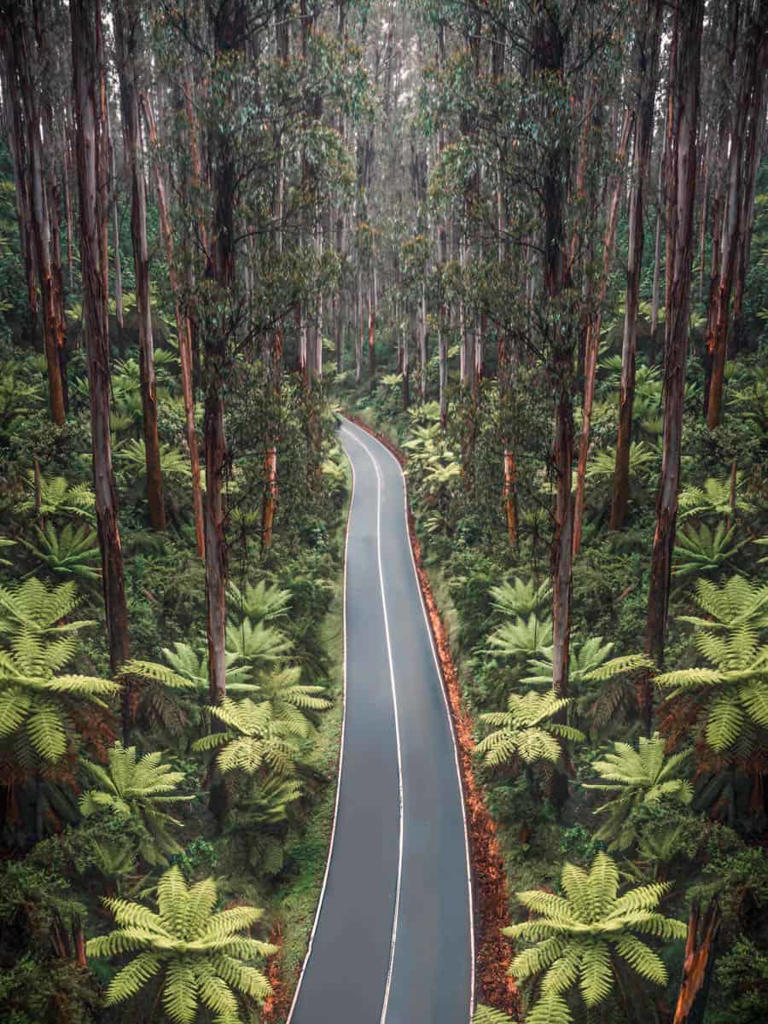the-perfect-16-day-victoria-road-trip-australia-2026-update