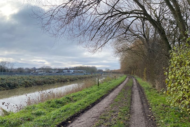 ‘Massive relief’ as parents told Esher school bus that means children ...