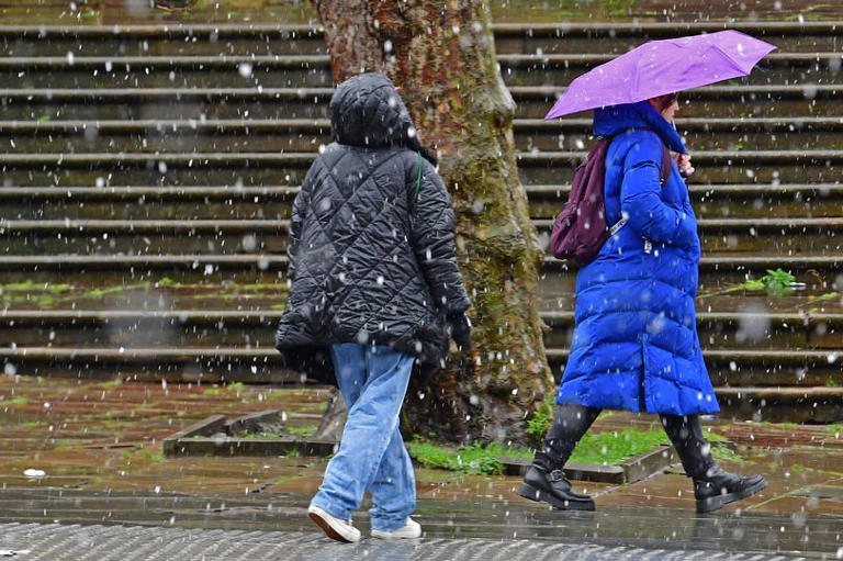 Met Office issues verdict on snow and sleet just before Christmas Met Office issues verdict on snow and sleet just before Christmas