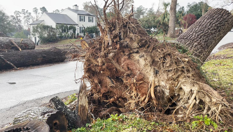 Disaster recovery, cleanup take a holiday break in the CSRA