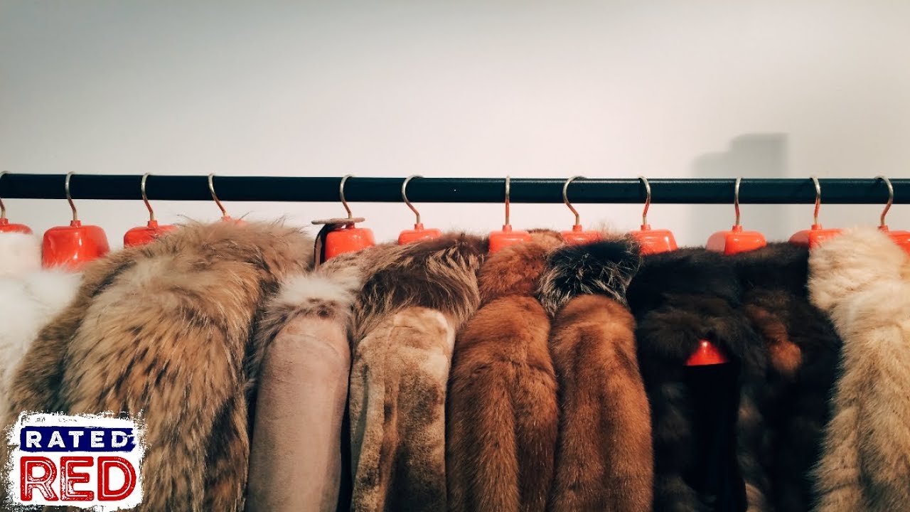 San Francisco Bans Fur Sales in Bold Cultural Move