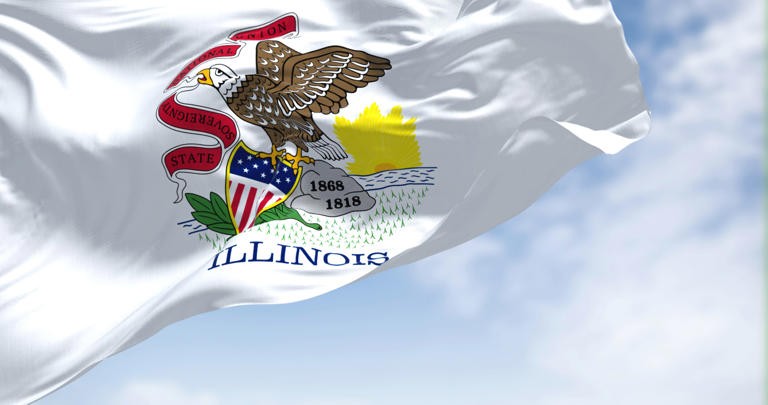PHOTOS: Finalists picked in Illinois state flag design contest