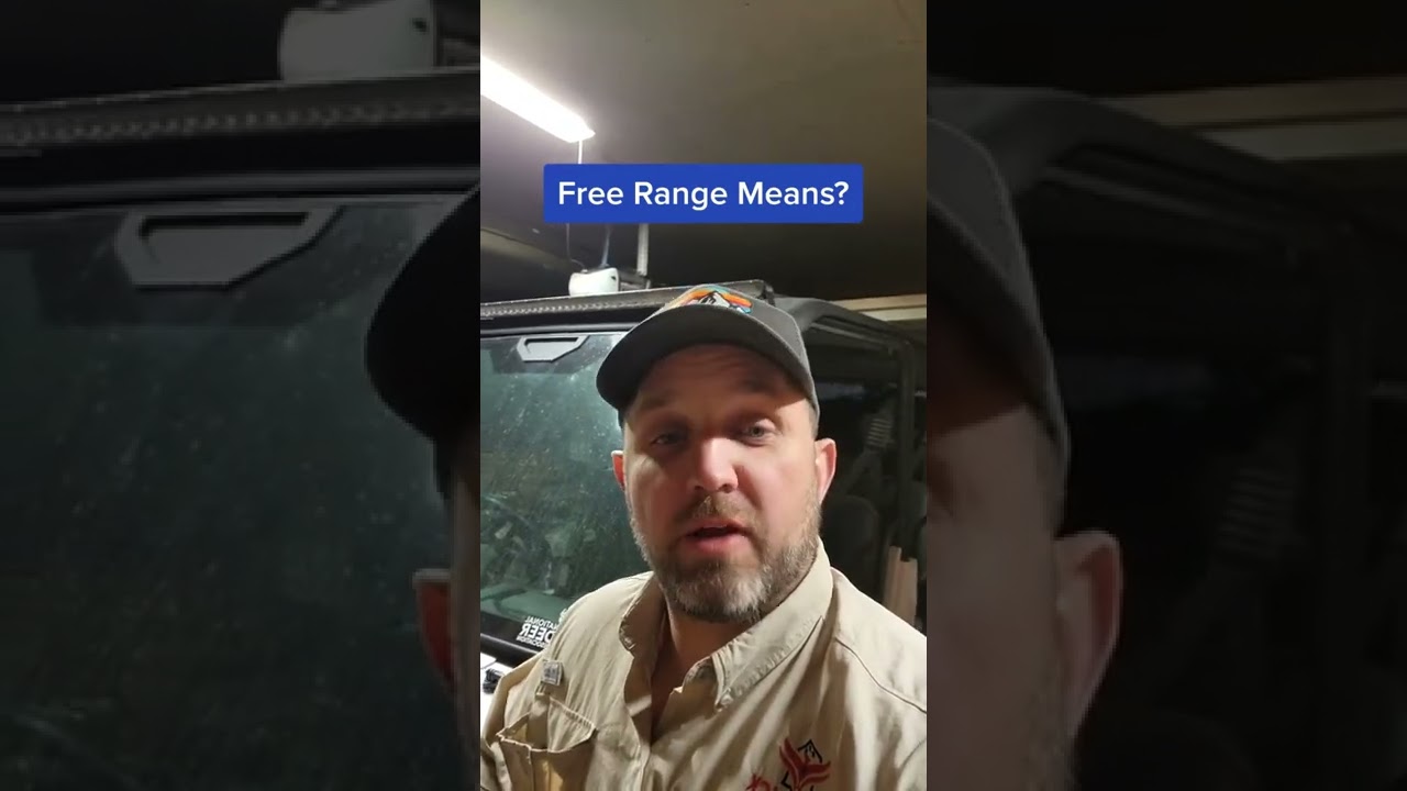 Free Range Explained: What It Really Means for Texas Ranches