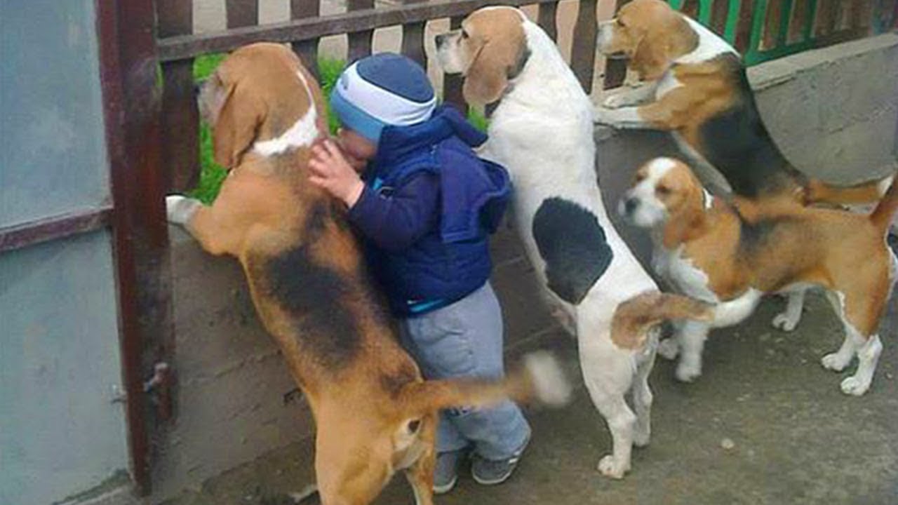 Children Raised by Dogs is Too Cute