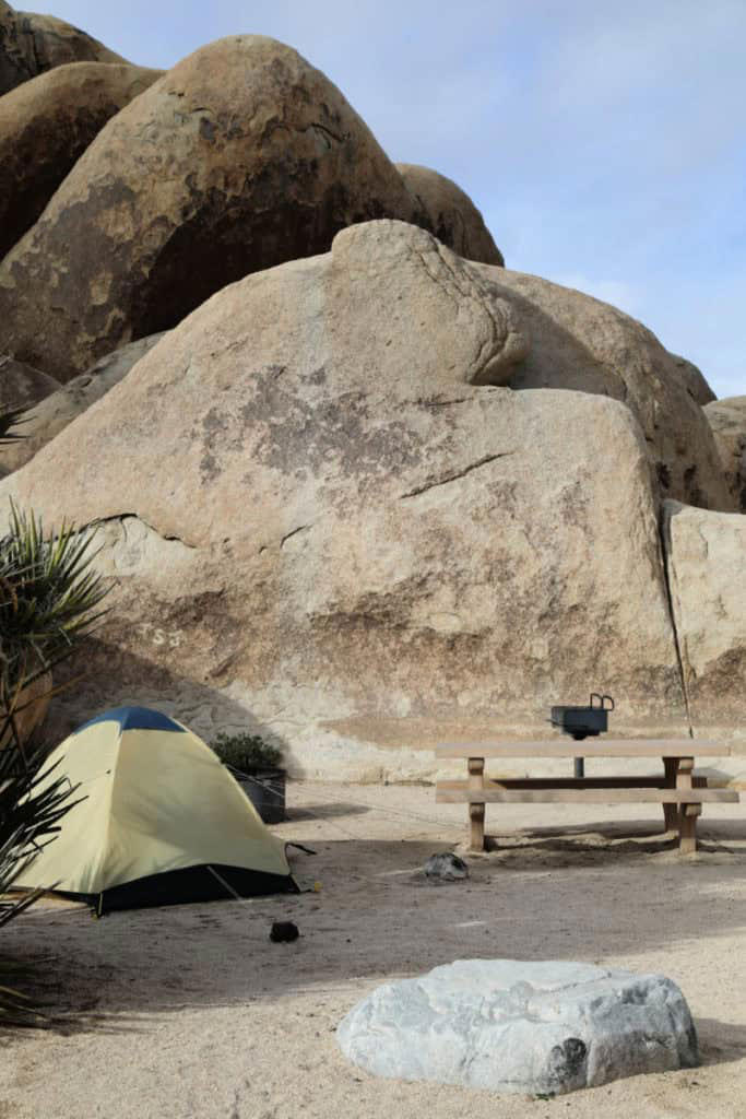 Belle Campground - Joshua Tree National Park