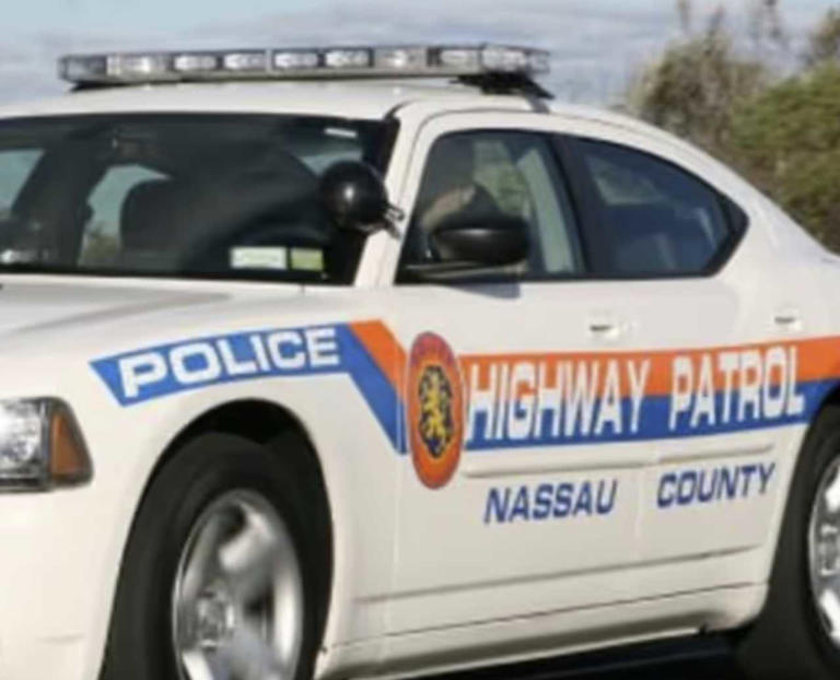 Rene Dominguez Alonso charged for hitting police patrol car