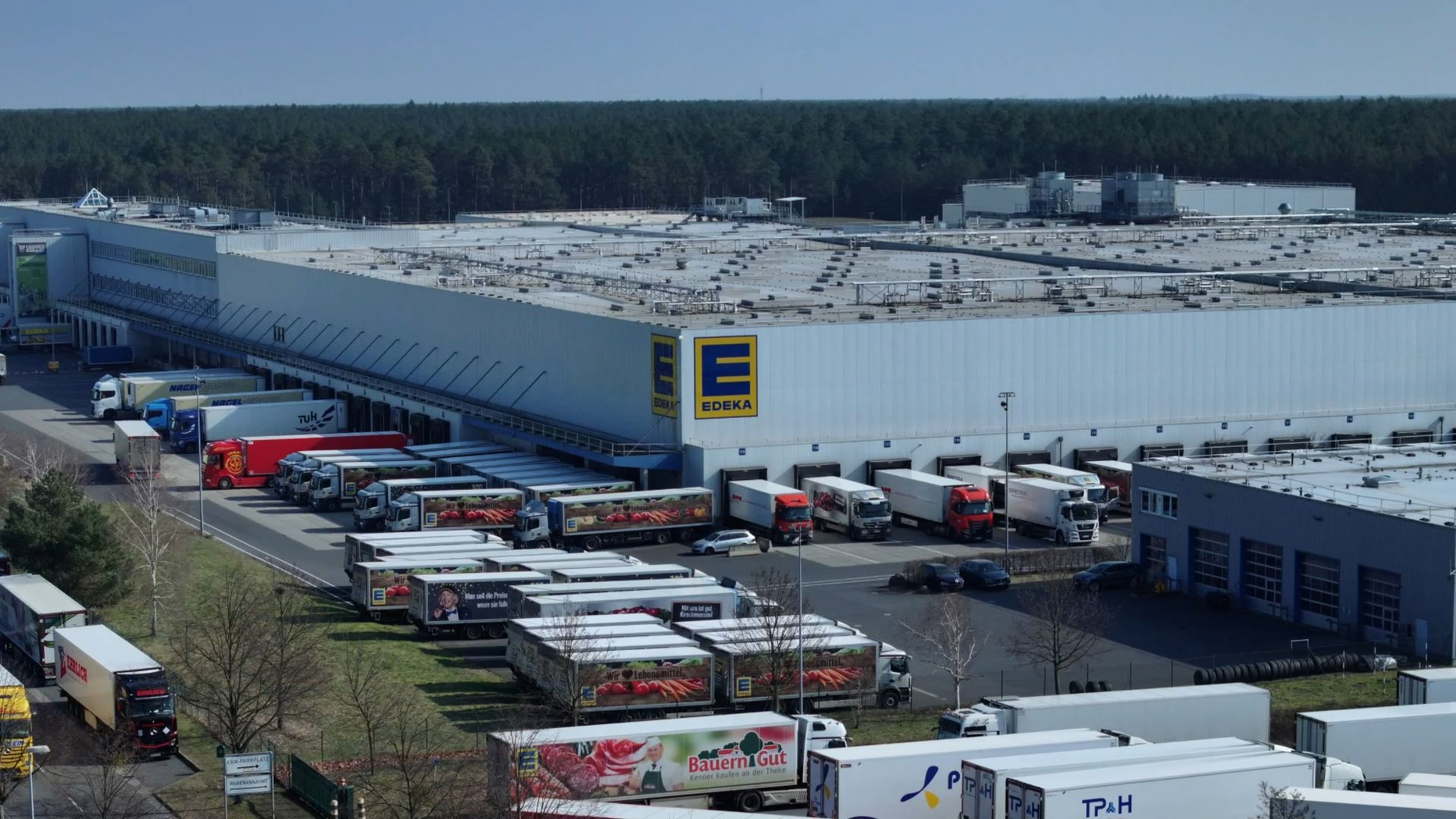 Edeka: Die Erfolgsgeschichte der Supermarktkette