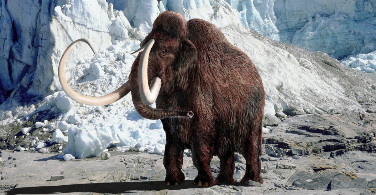 Scientists Unveil Groundbreaking Insights into Woolly Mammoth ... Scientists Unveil Groundbreaking Insights into Woolly Mammoth ...