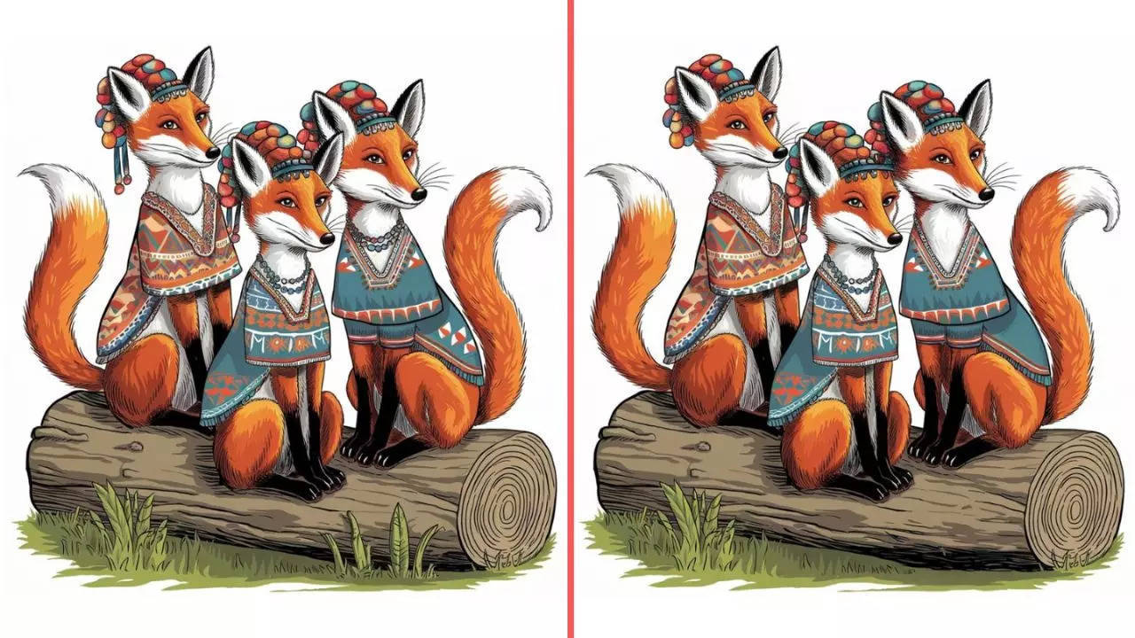 Spot The Difference Challenge: Think You're Observant? Prove It By ... Spot The Difference Challenge: Think You're Observant? Prove It By ...