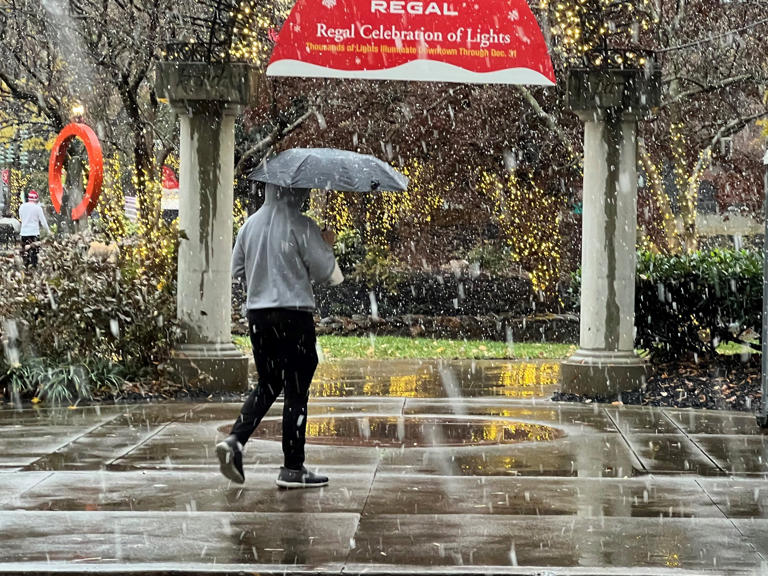 How much snow did East Tennessee get? When will it snow again?